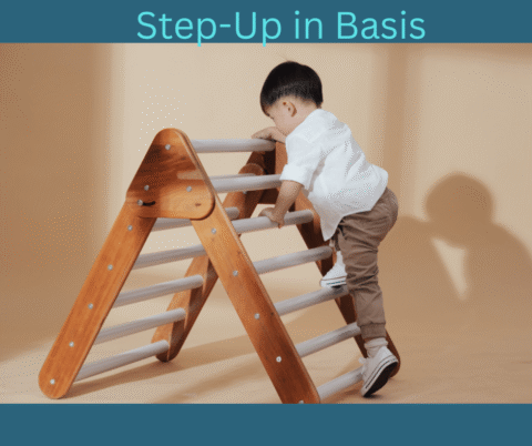 Step-Up in Basis: Lower Taxes on Inherited Florida Assets